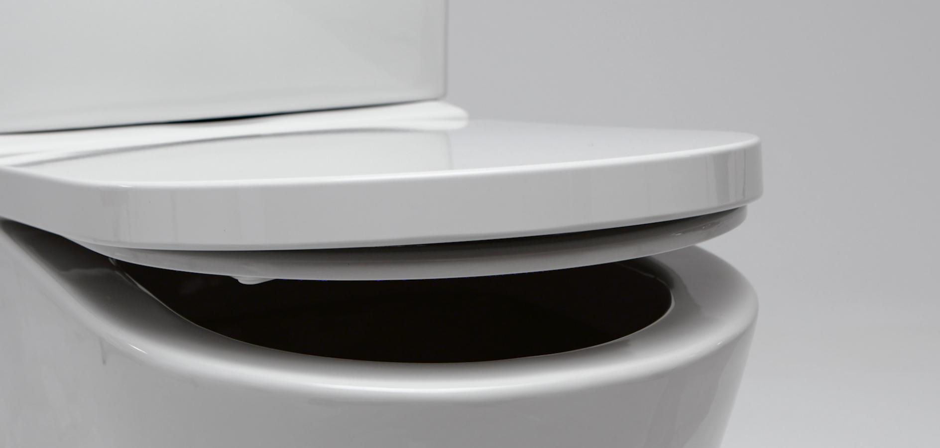 Do you know how to identify the seat and cover of your WC Roca Life